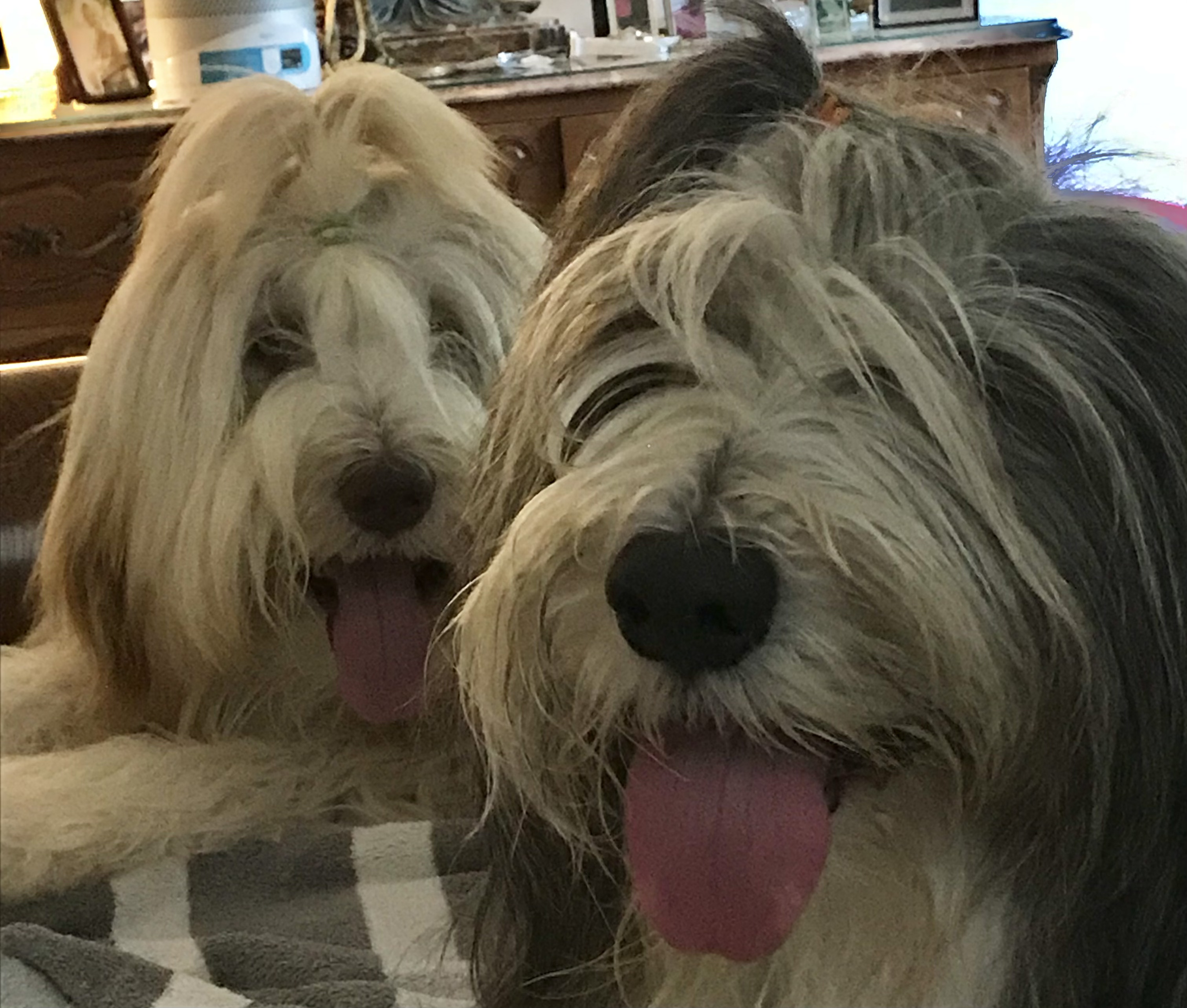 MY BEST FRIEND – OLIVER SPEAKS